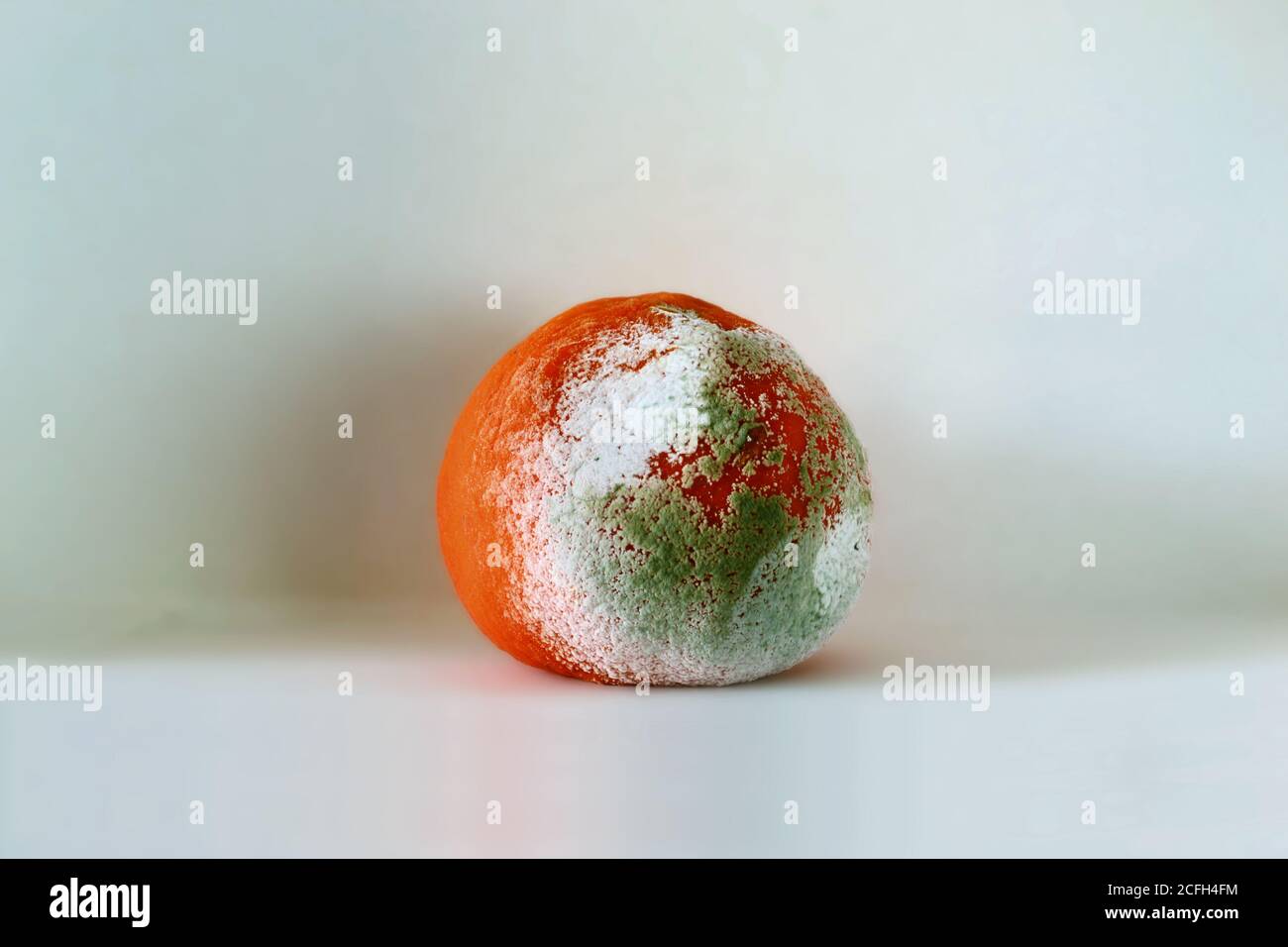 Spoiled oranges hi-res stock photography and images - Alamy