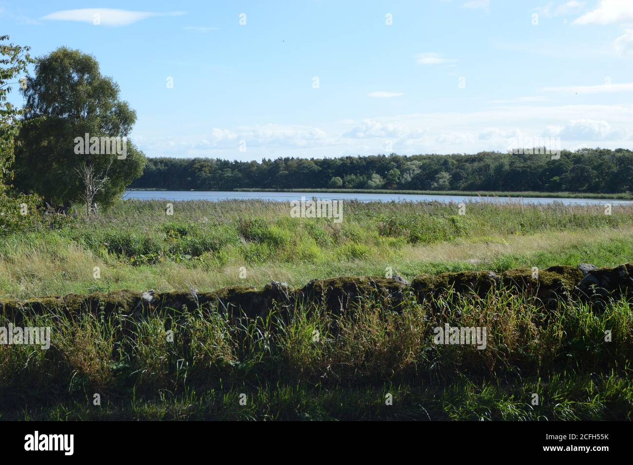 Kilconquhar Loch, Fife Stock Photo - Alamy