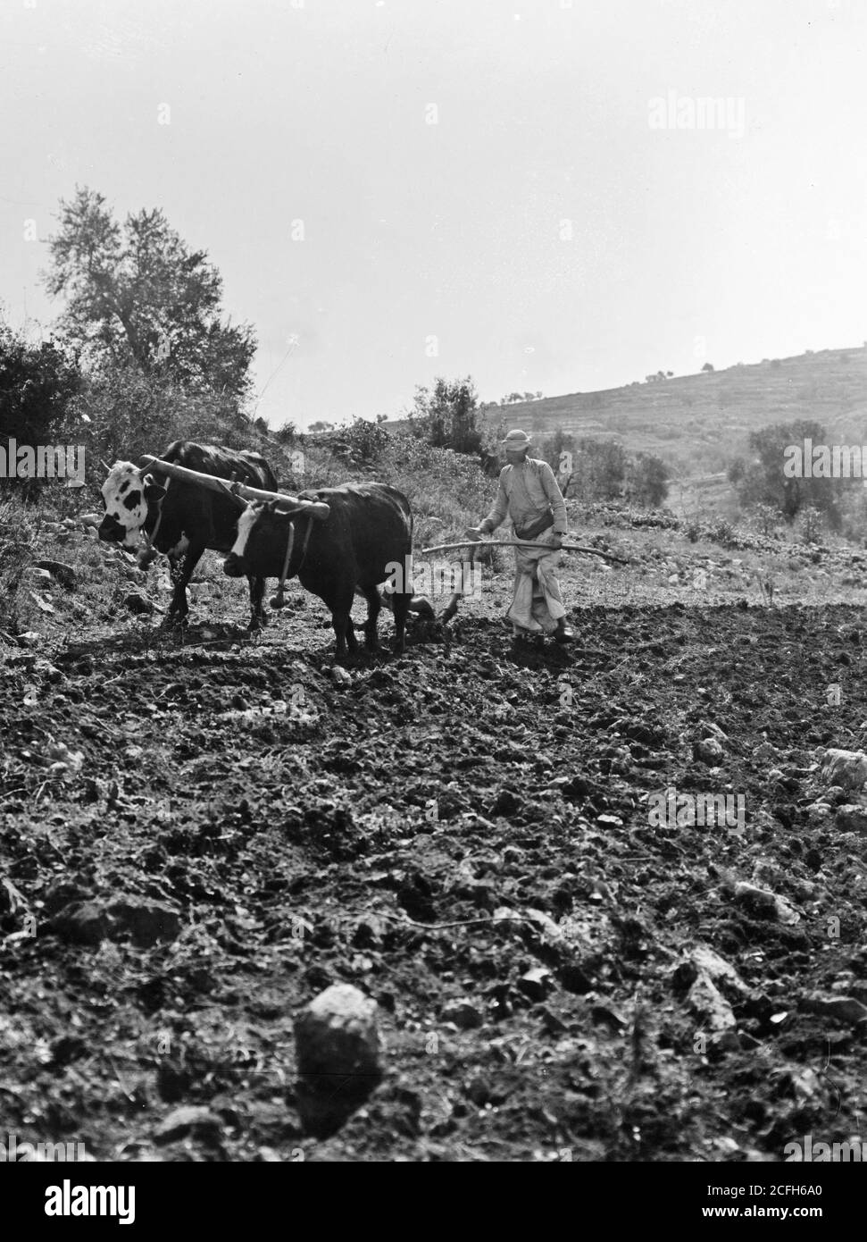 Plowing 1900s hi-res stock photography and images - Alamy