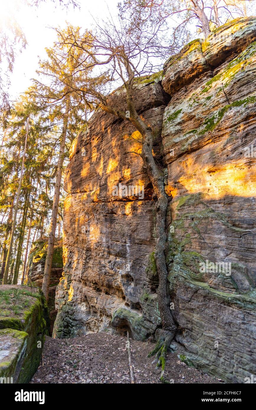 Narrow pass through sandstone rock formation at Chlum - Kozlov Castle ...