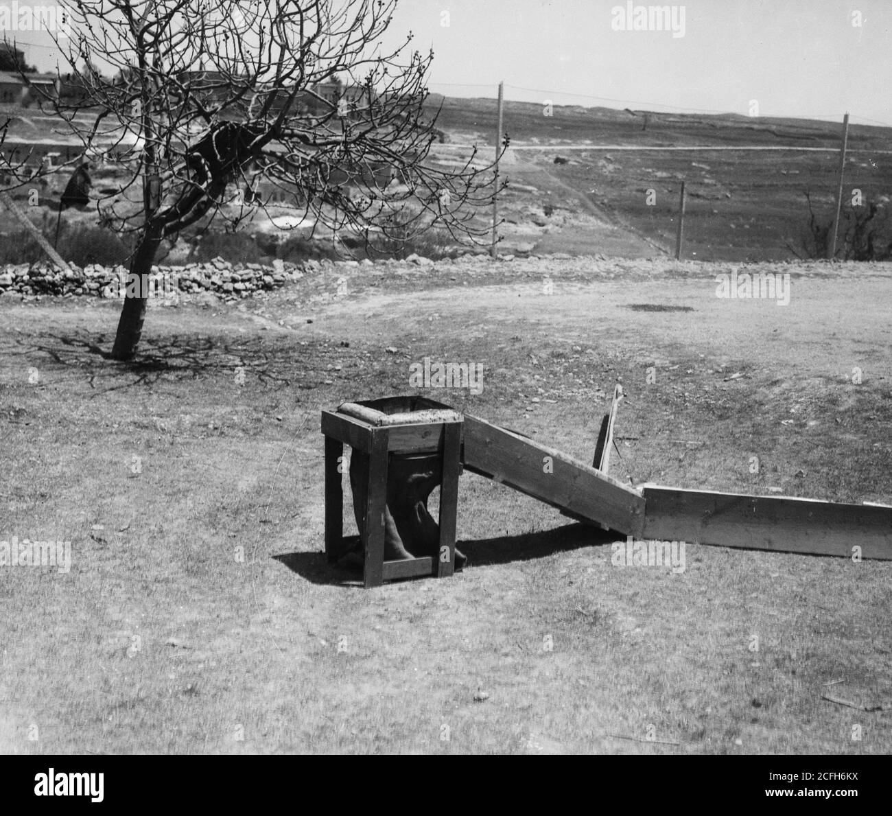 Locust plague historical hi-res stock photography and images - Alamy