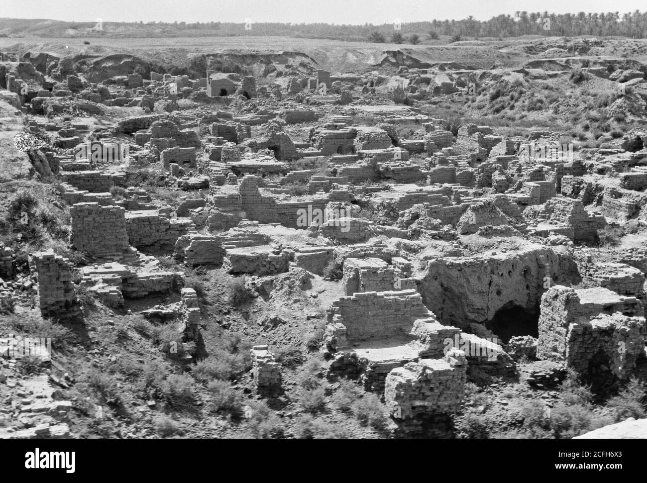 Ancient Babylon Ruins
