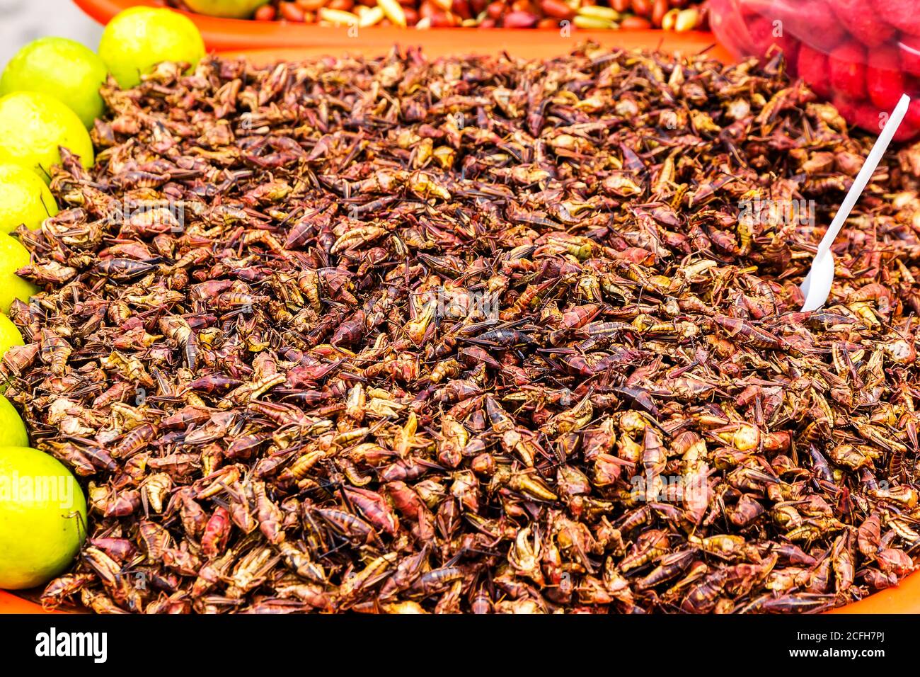 Chapulín hi-res stock photography and images - Alamy