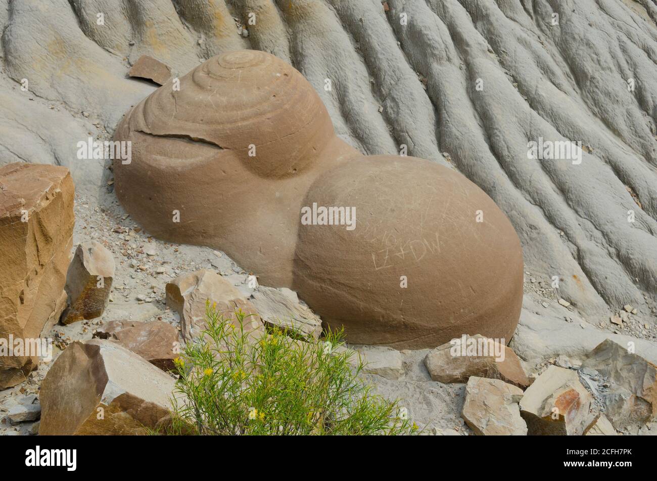 Spherical sandstone concretions hi-res stock photography and images - Alamy