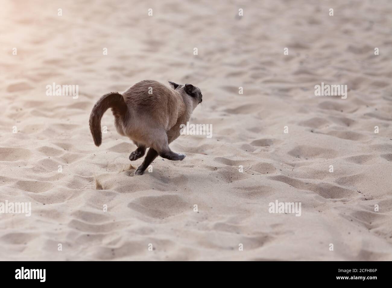 Hide away beach hi-res stock photography and images - Alamy