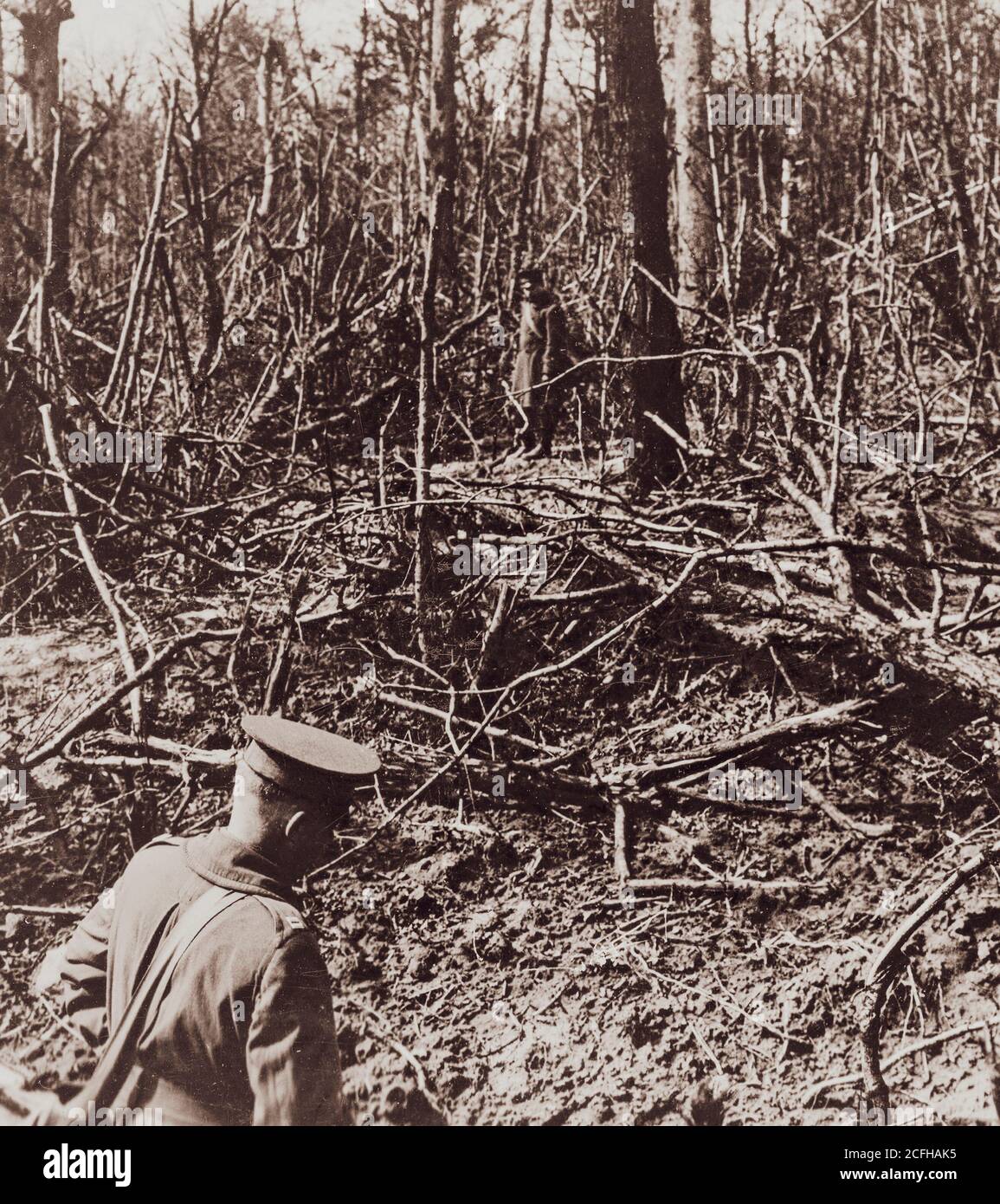 The Battle of Belleau Wood during World War One. Holes torn out by huge ...