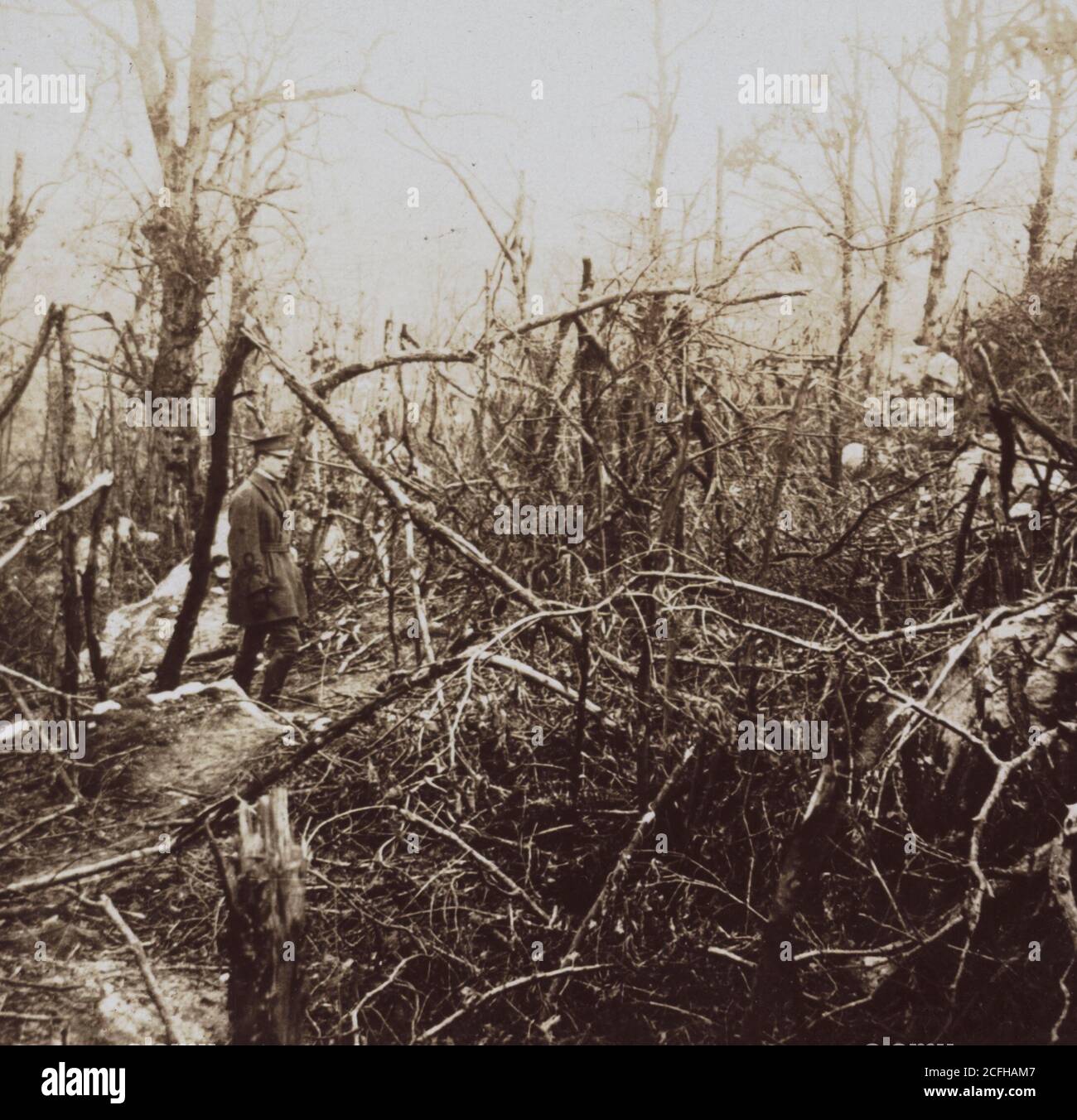 Destruction after the Battle of Belleau Wood during World War One ...