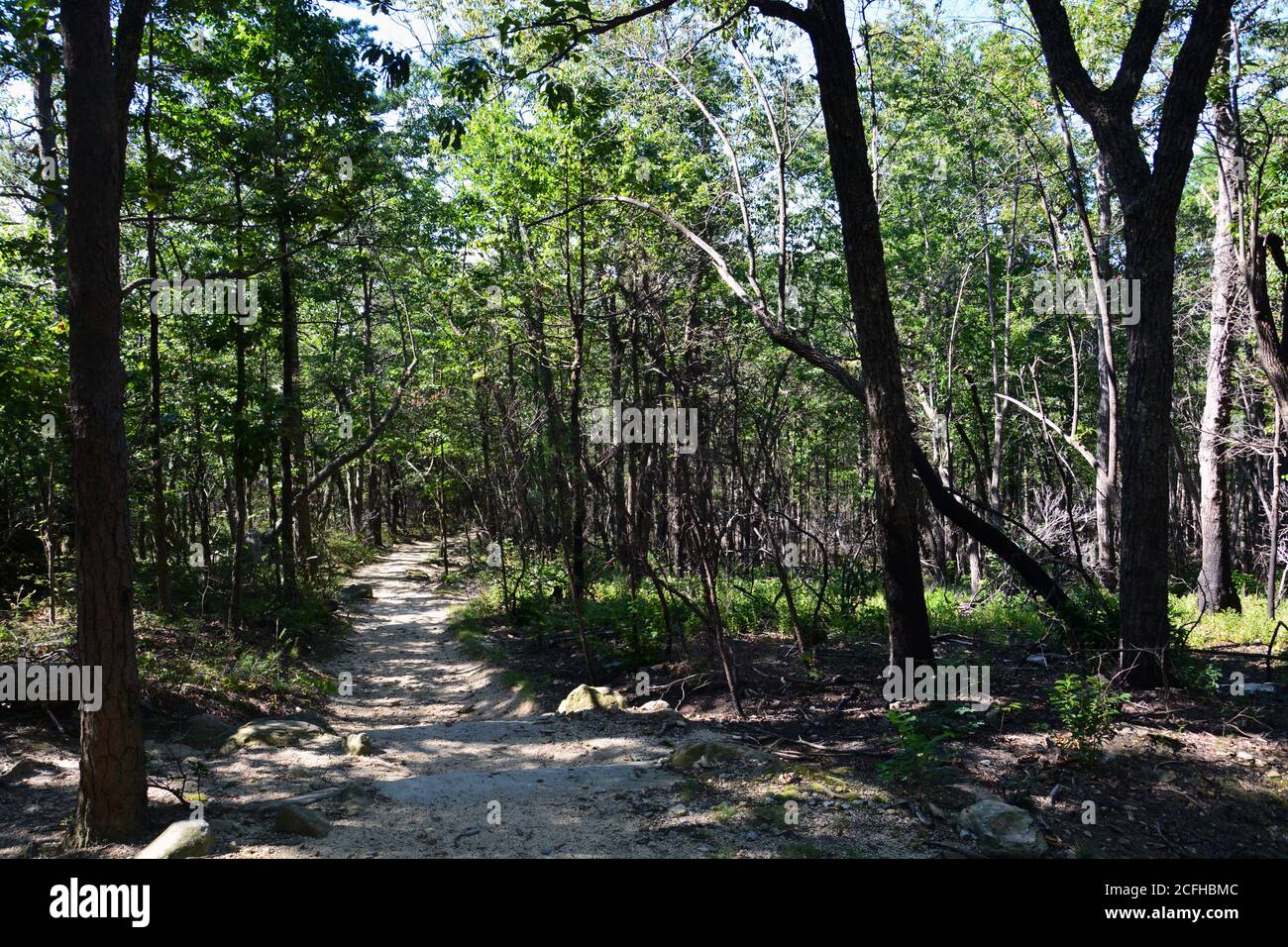 A section of Moore's Wall Trail through a wooded area of Hanging Rock ...