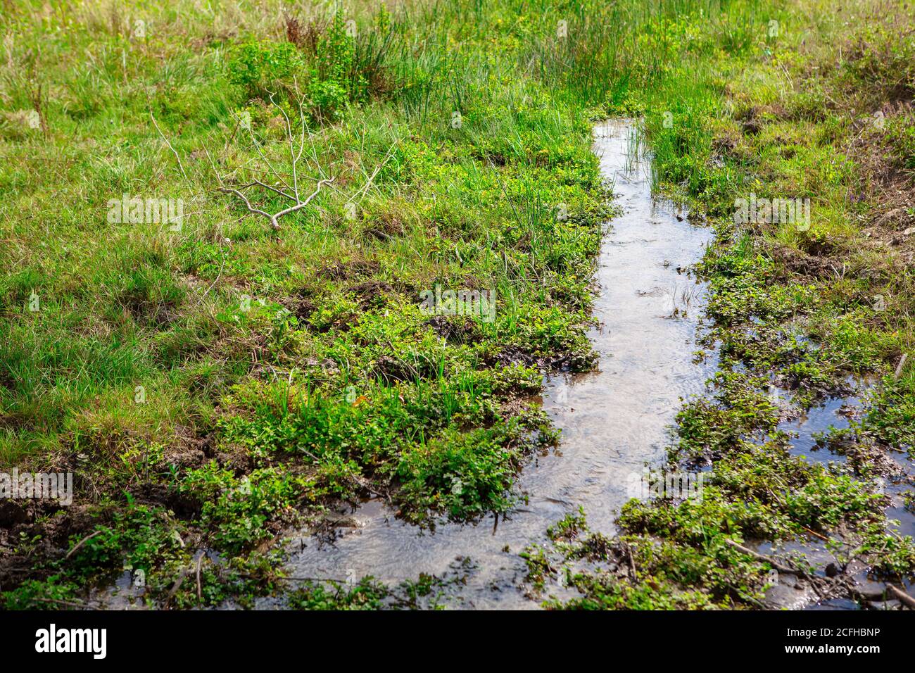 Streanlet hi-res stock photography and images - Alamy