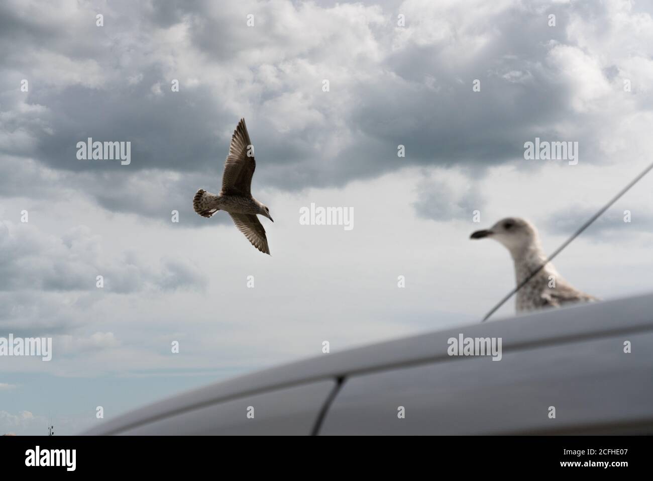 Folkestone Harbour and Seafront Stock Photo - Alamy