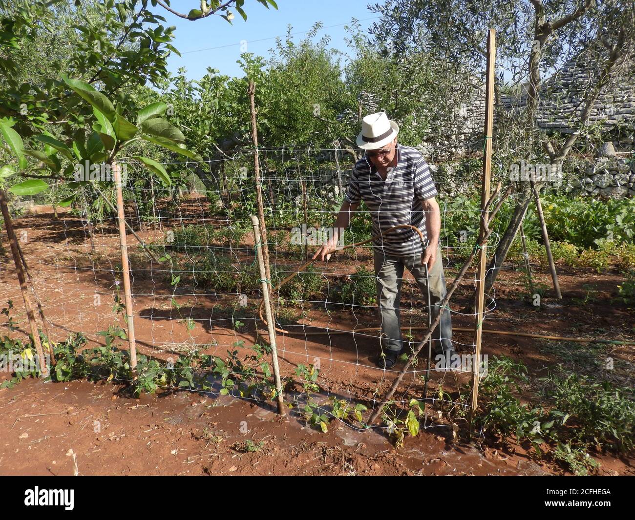 Old man gardening hi-res stock photography and images - Alamy
