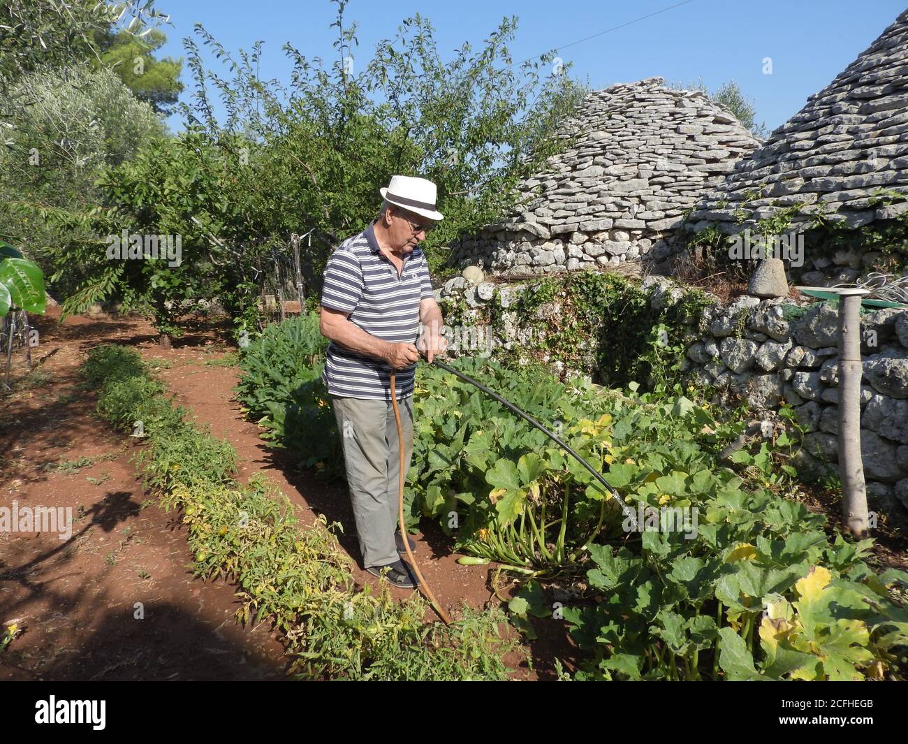 Old man gardening hi-res stock photography and images - Alamy