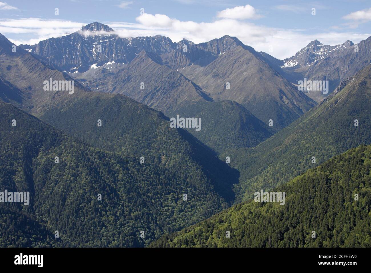 Pandas china tourist hi-res stock photography and images - Alamy