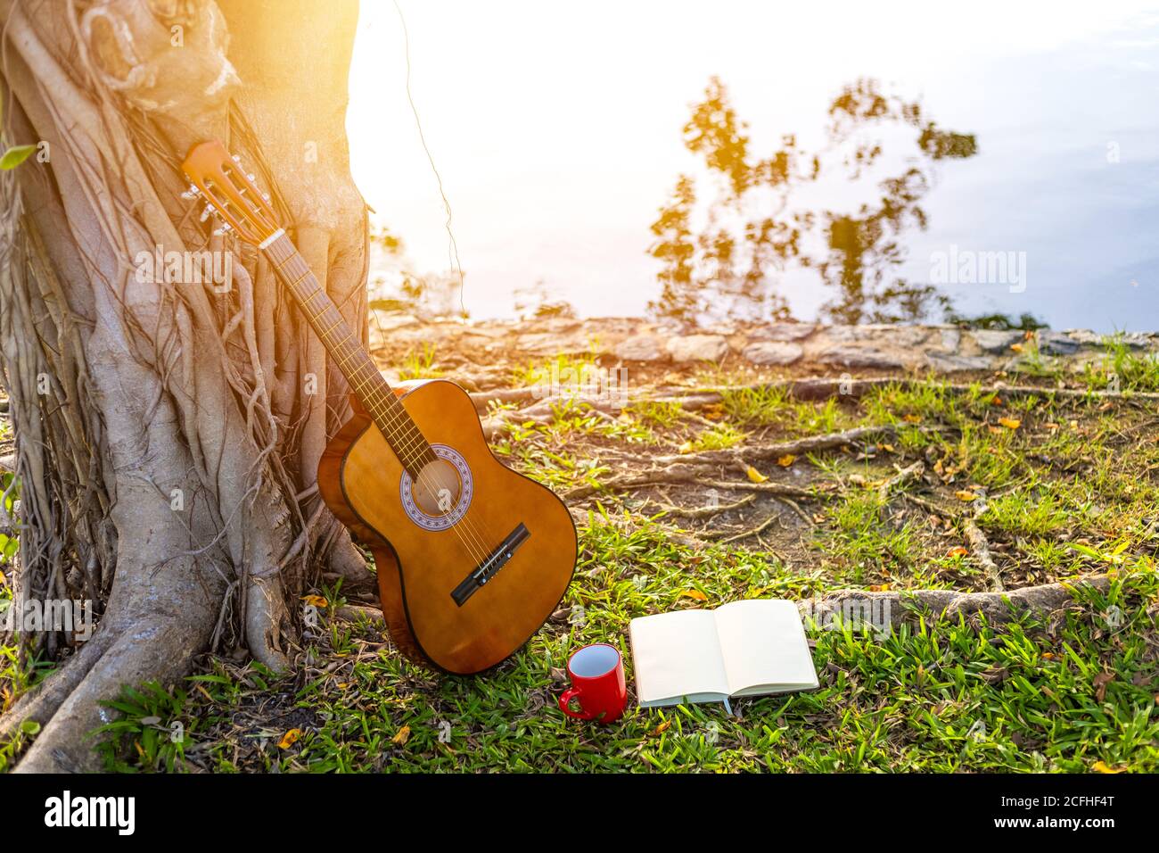 Guitar tree hi-res stock photography and images - Alamy