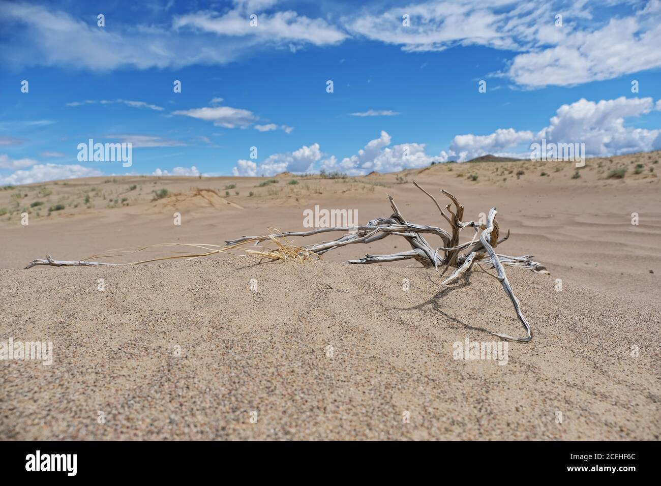 Sandy desert Mongol Els near lake Durgen Nuur. Khovd province, Western ...