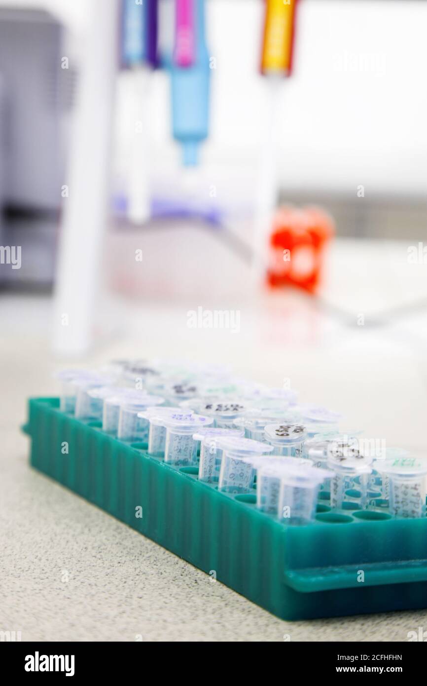 laboratory workplace for biotechnology investigation. DNA analyze Stock ...