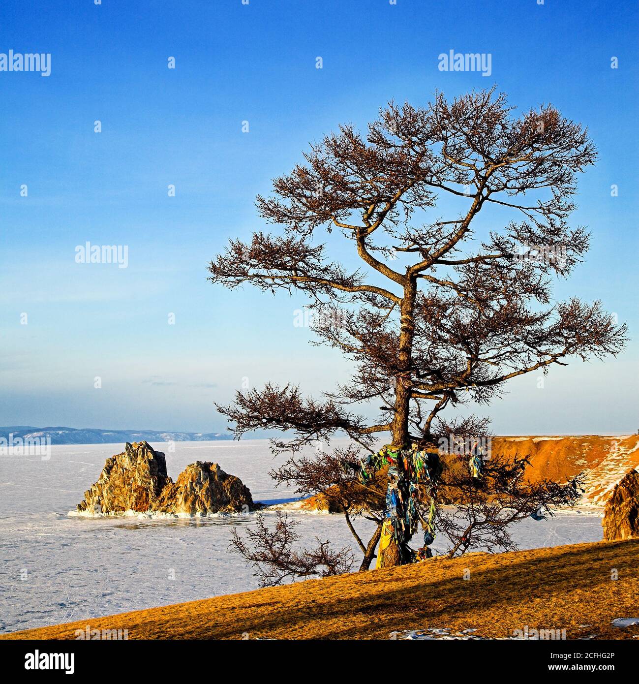 Winter Baikal. Shaman tree on the bank of winter Baikal lake Stock ...