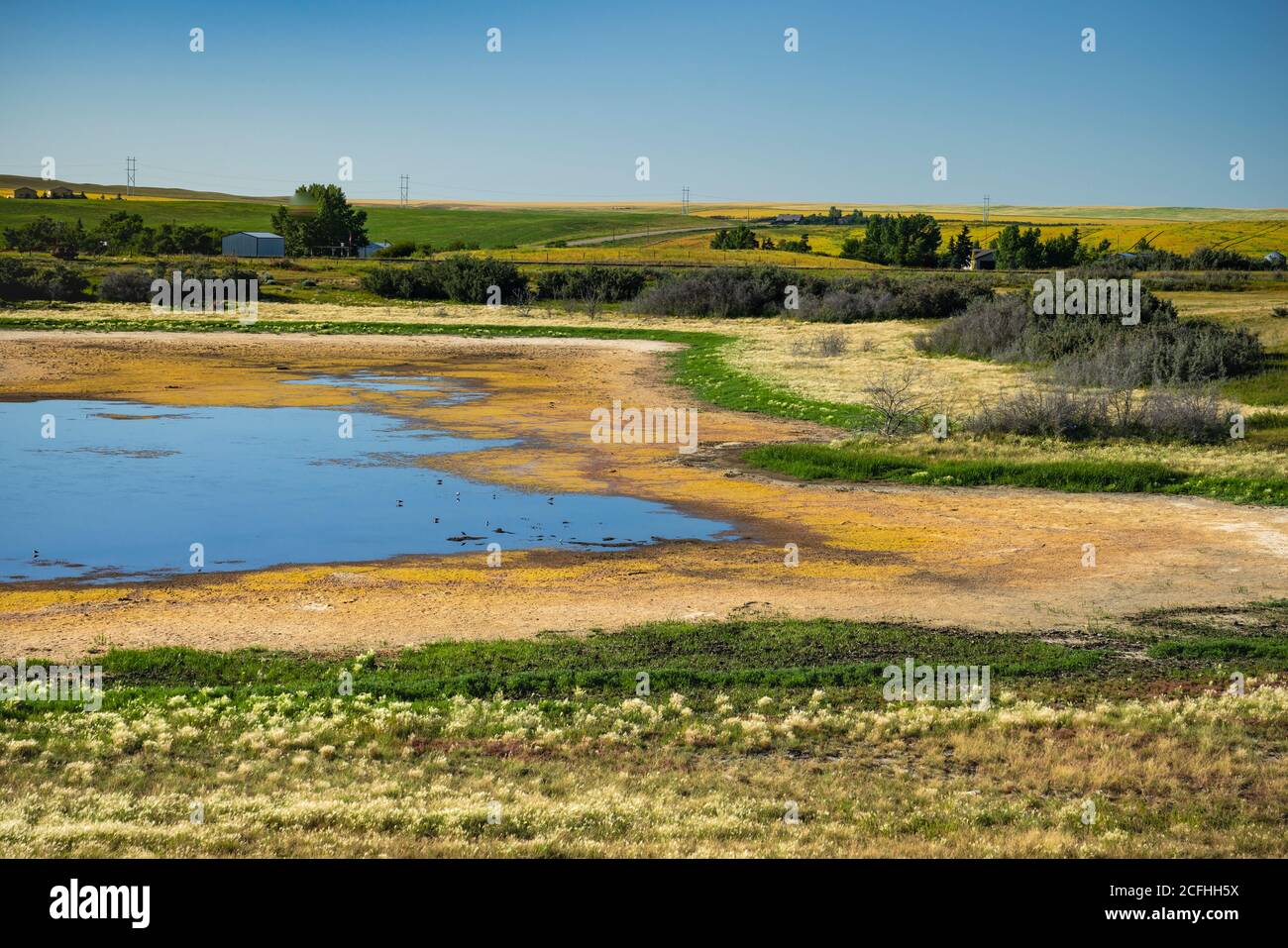 Saskatchewan pool hi-res stock photography and images - Alamy