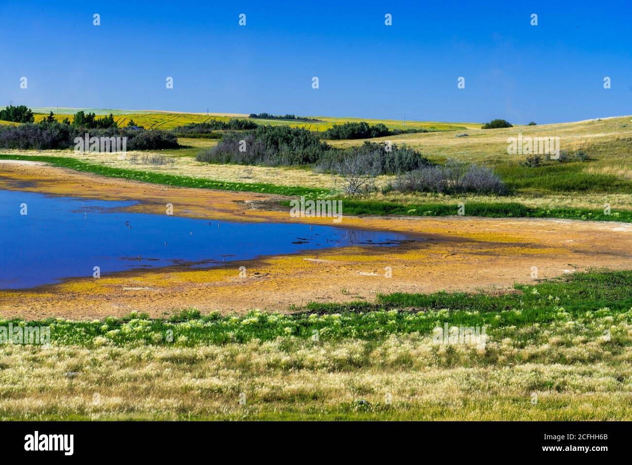 Saskatchewan pool hi-res stock photography and images - Alamy