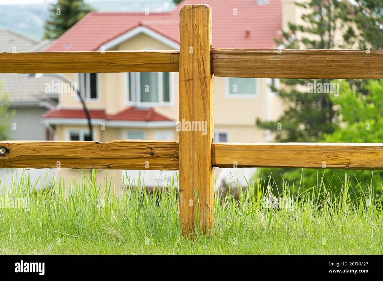 Wood fence trees hi-res stock photography and images - Alamy