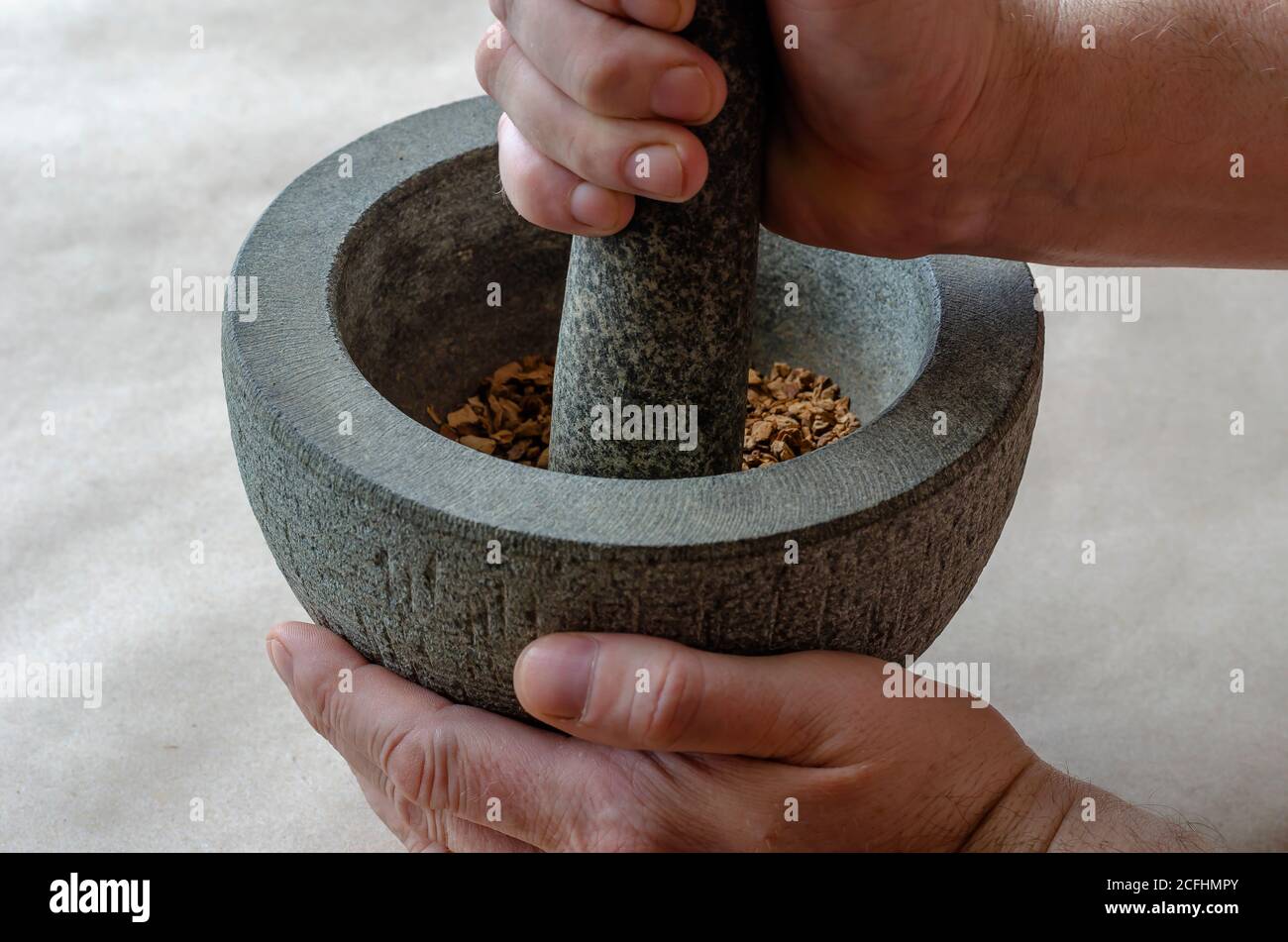 Hand grinds the dried roots of medicinal herbs in stone mortar ...
