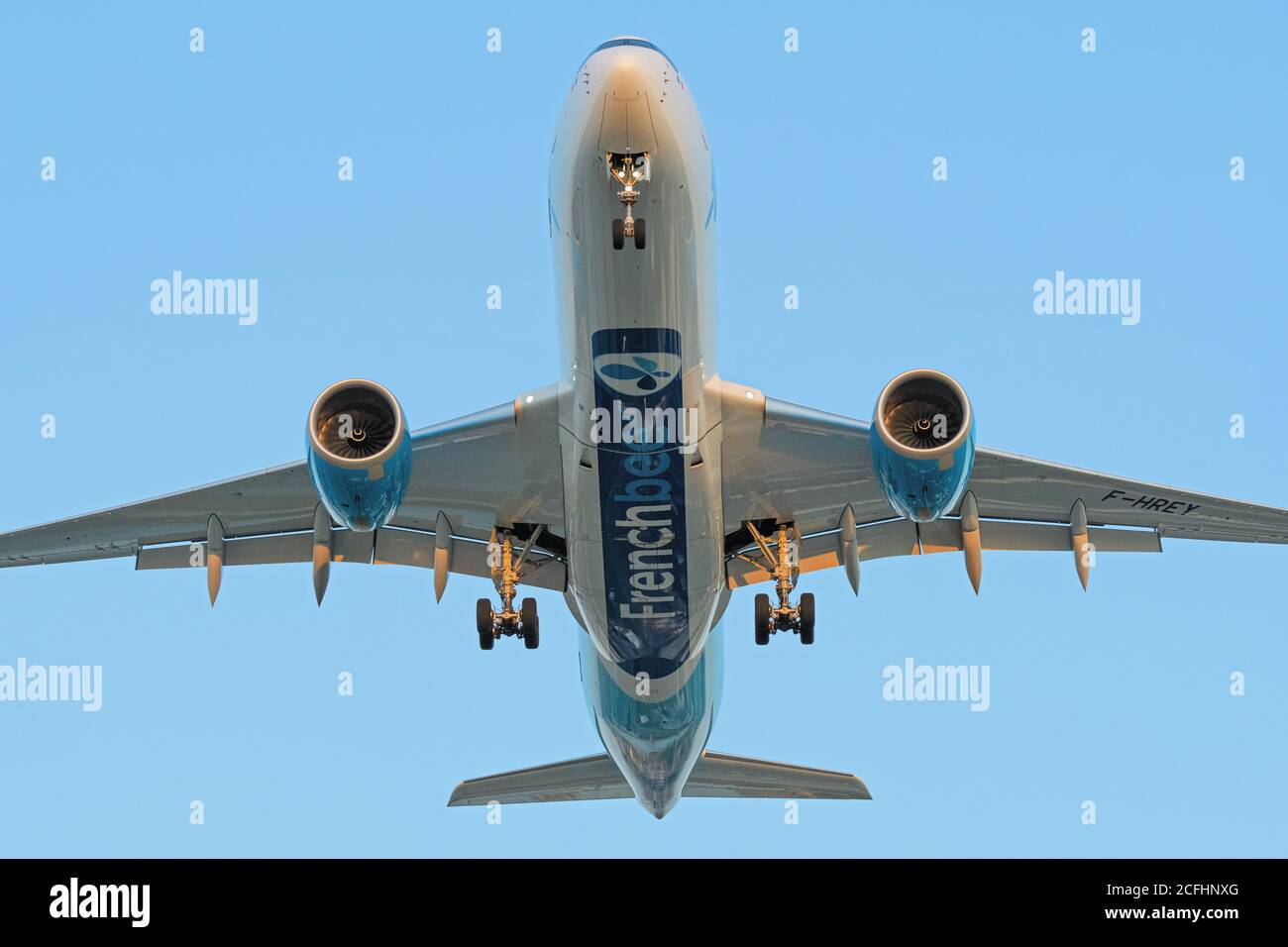 French bee airline hi-res stock photography and images - Alamy