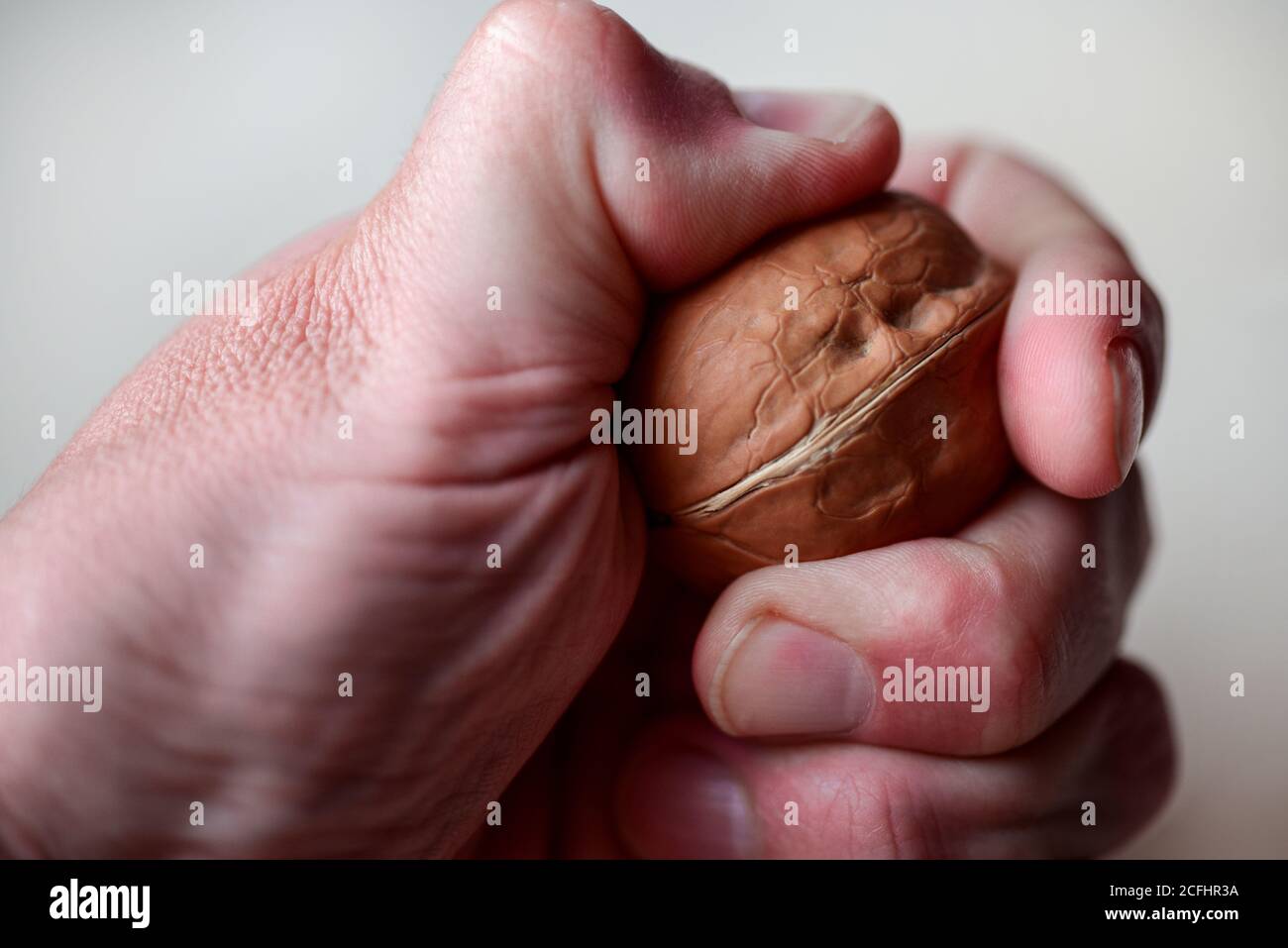 Hand crushes walnut on white background Stock Photo - Alamy