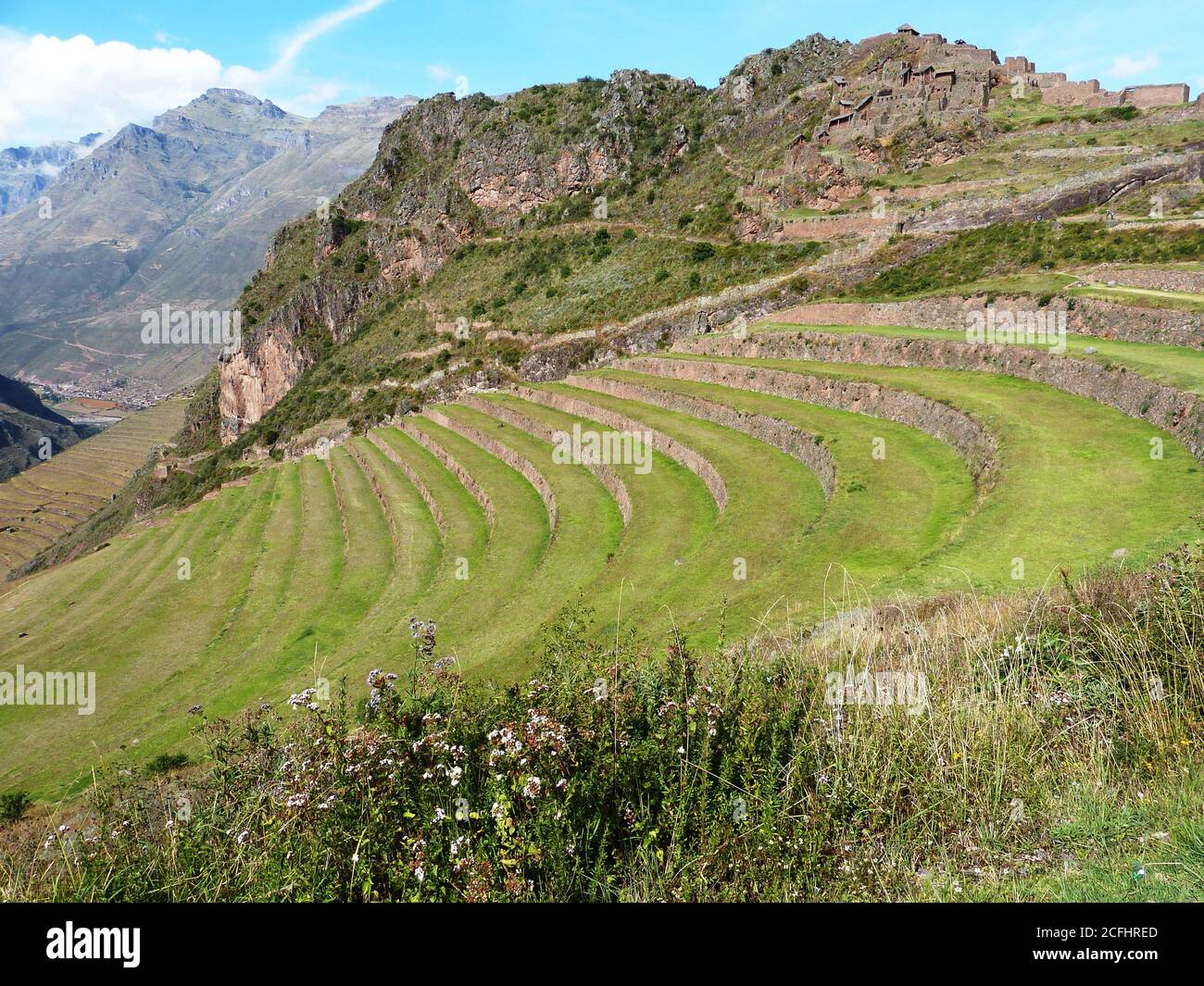 Ancient green grass incas terraces andenes in Sacred Valley, Andes ...
