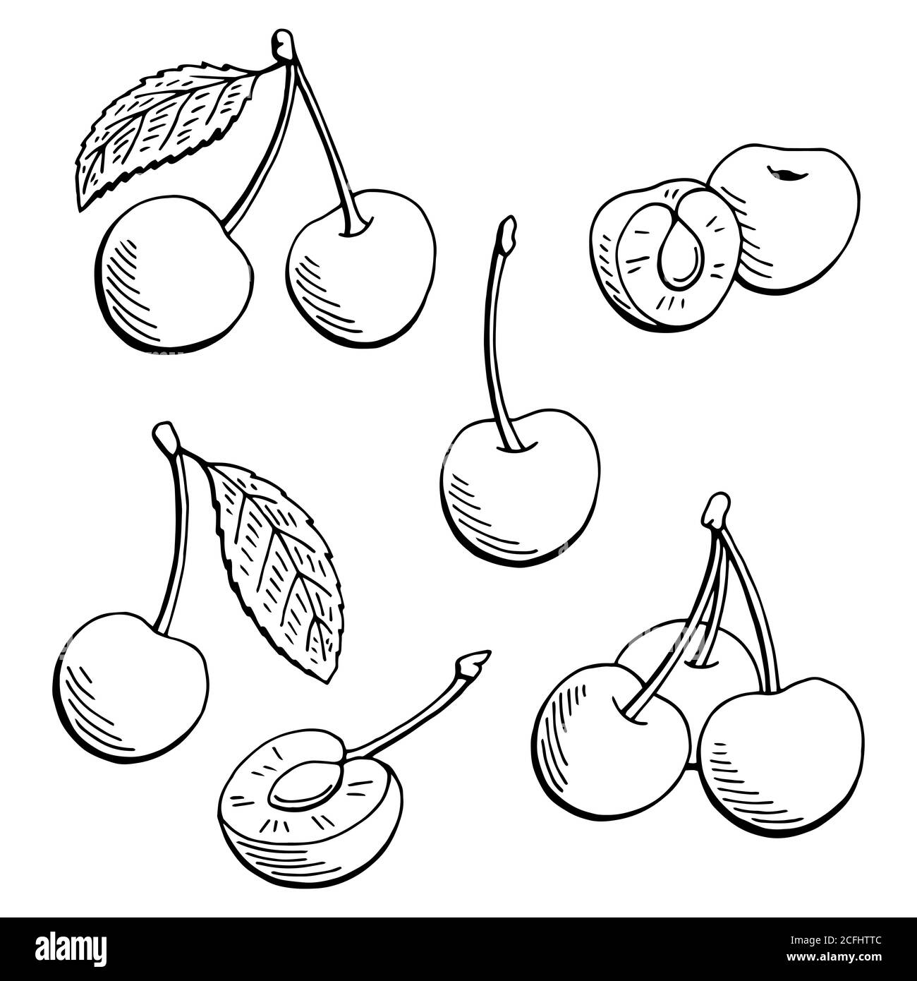 Cherry graphic black white isolated sketch illustration vector Stock ...