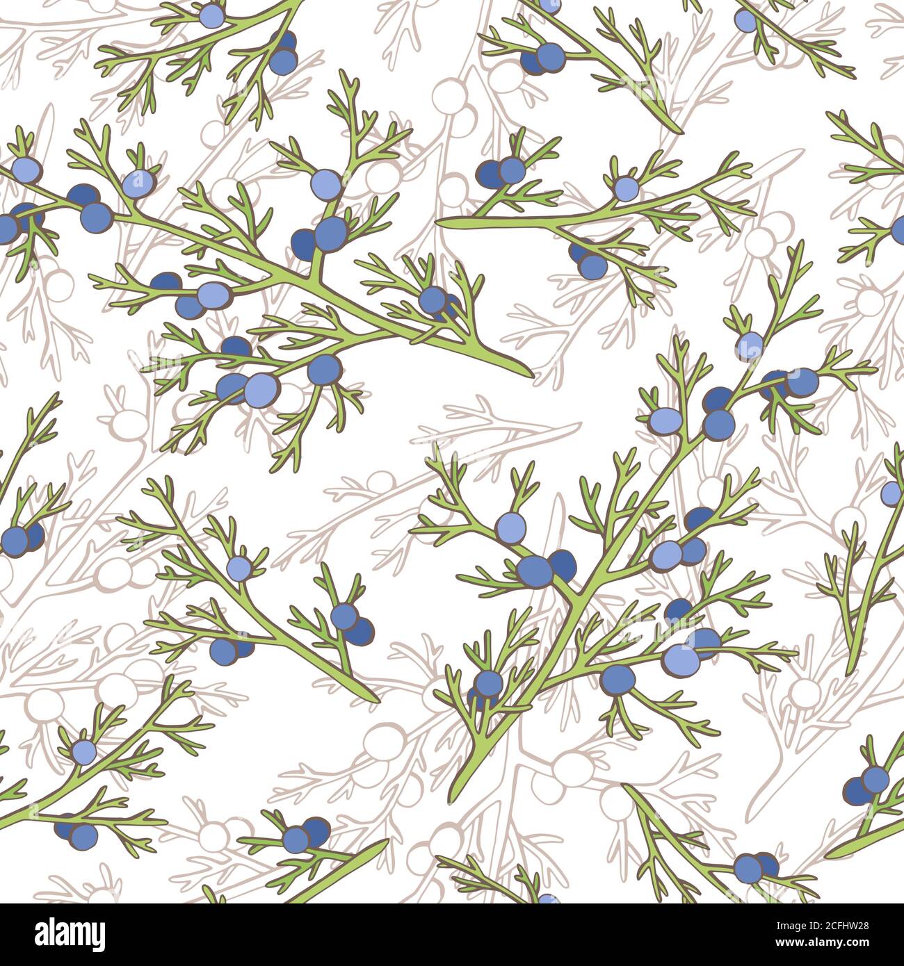 Juniper graphic color seamless pattern sketch illustration vector Stock ...