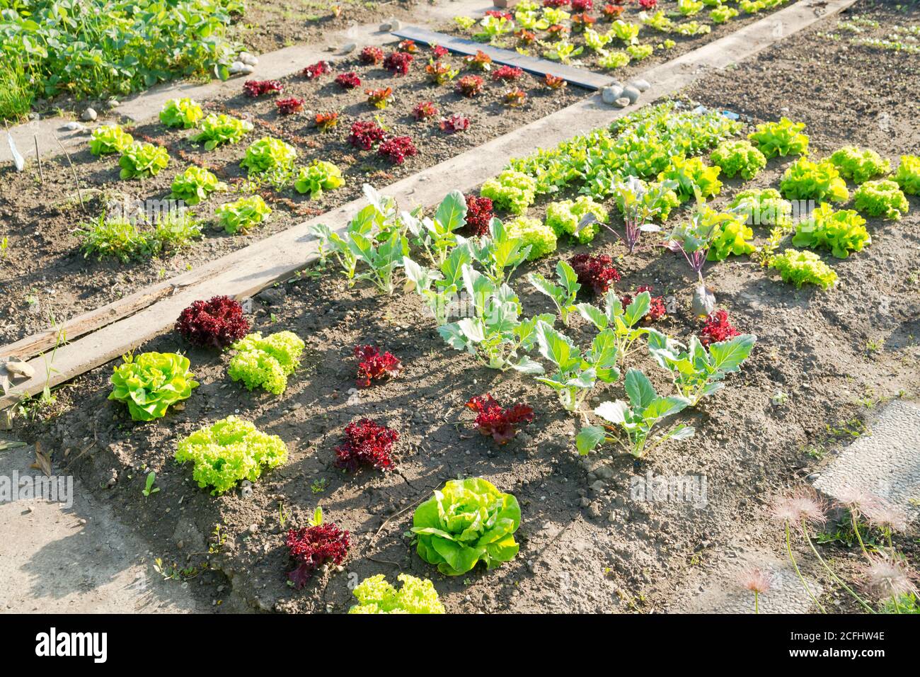 Garden patch hi-res stock photography and images - Alamy