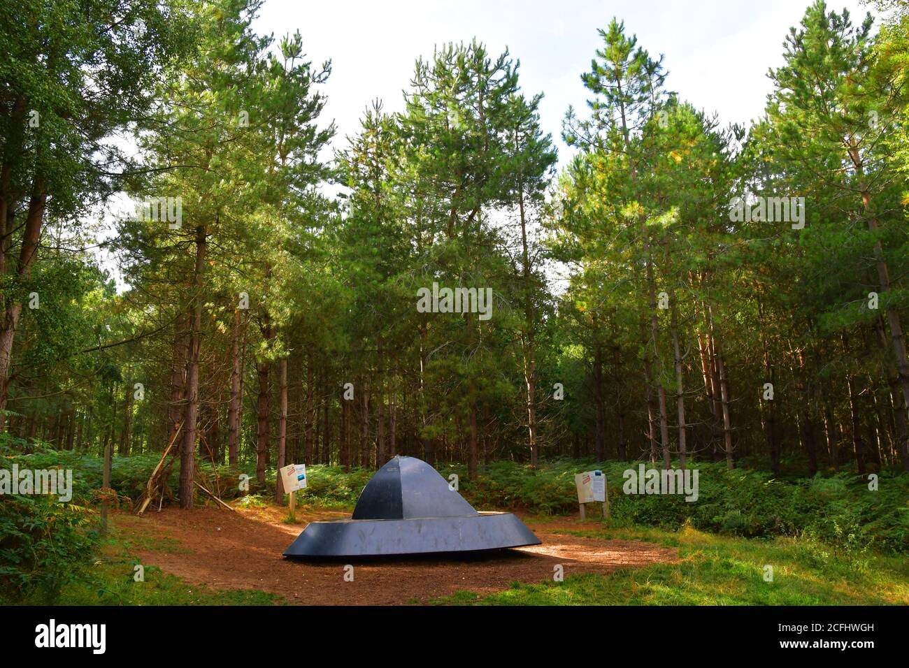 Rendlesham forest hi-res stock photography and images - Alamy