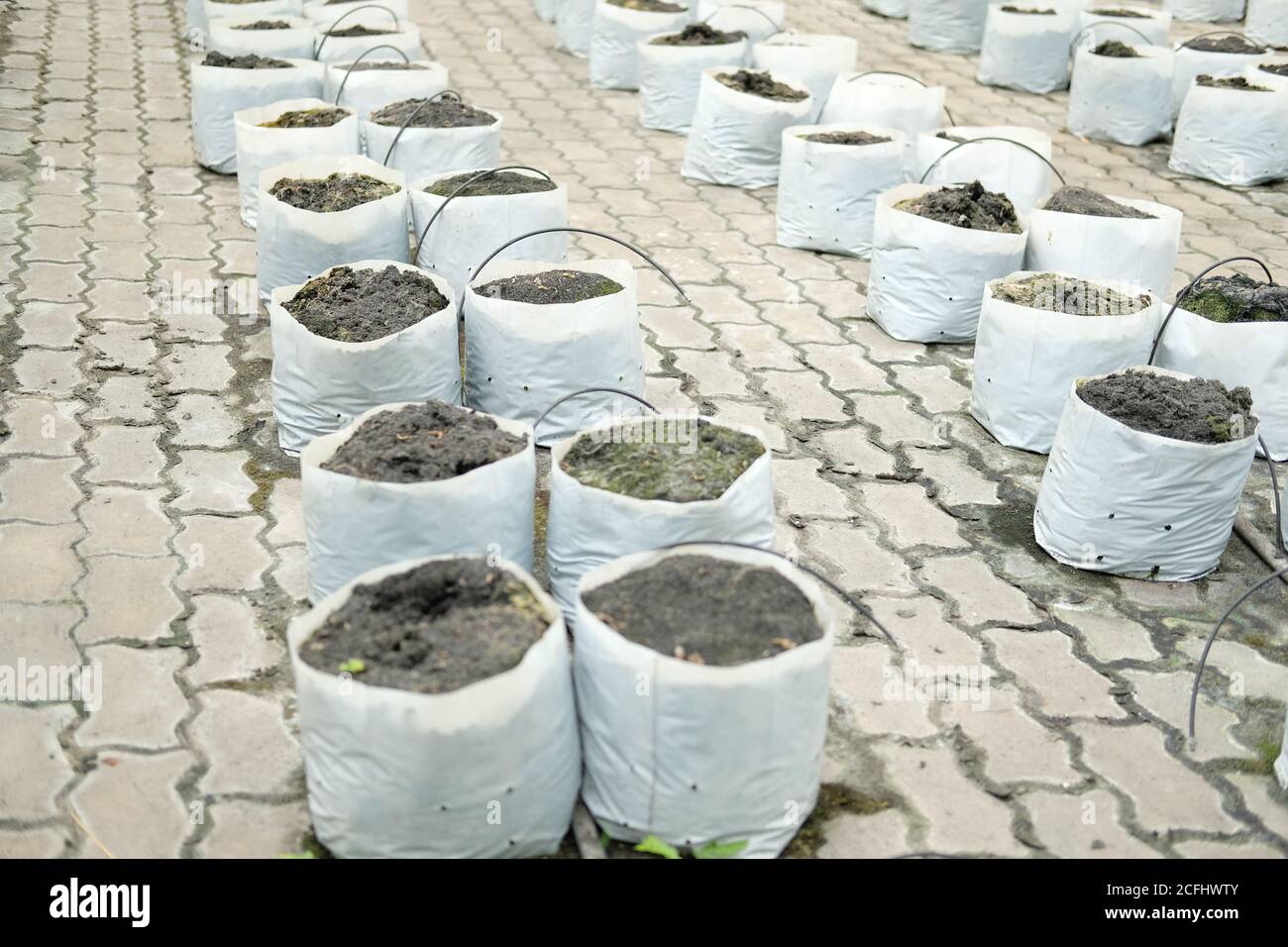 soil & fertilizer in planting bag for growing transplanting plant ...