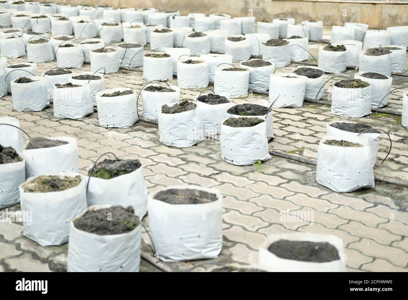 soil & fertilizer in planting bag for growing transplanting plant ...