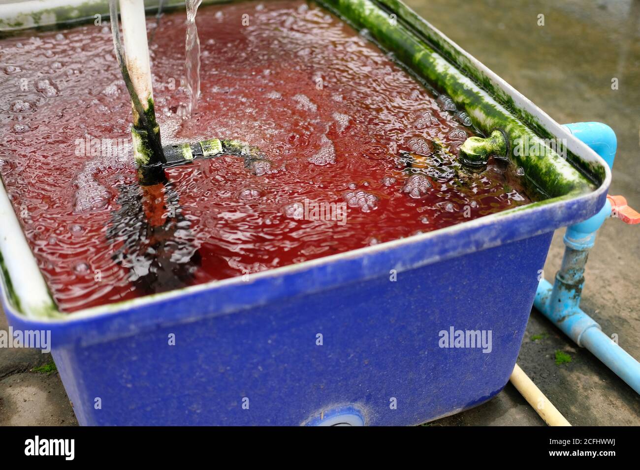 Liquid fertilizer mixing hi-res stock photography and images - Alamy