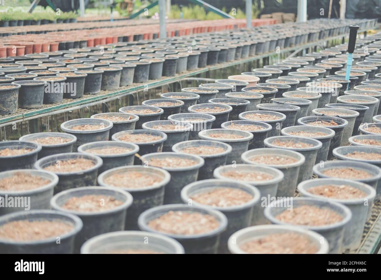 soil & fertilizer in planting pot for growing transplanting plant ...