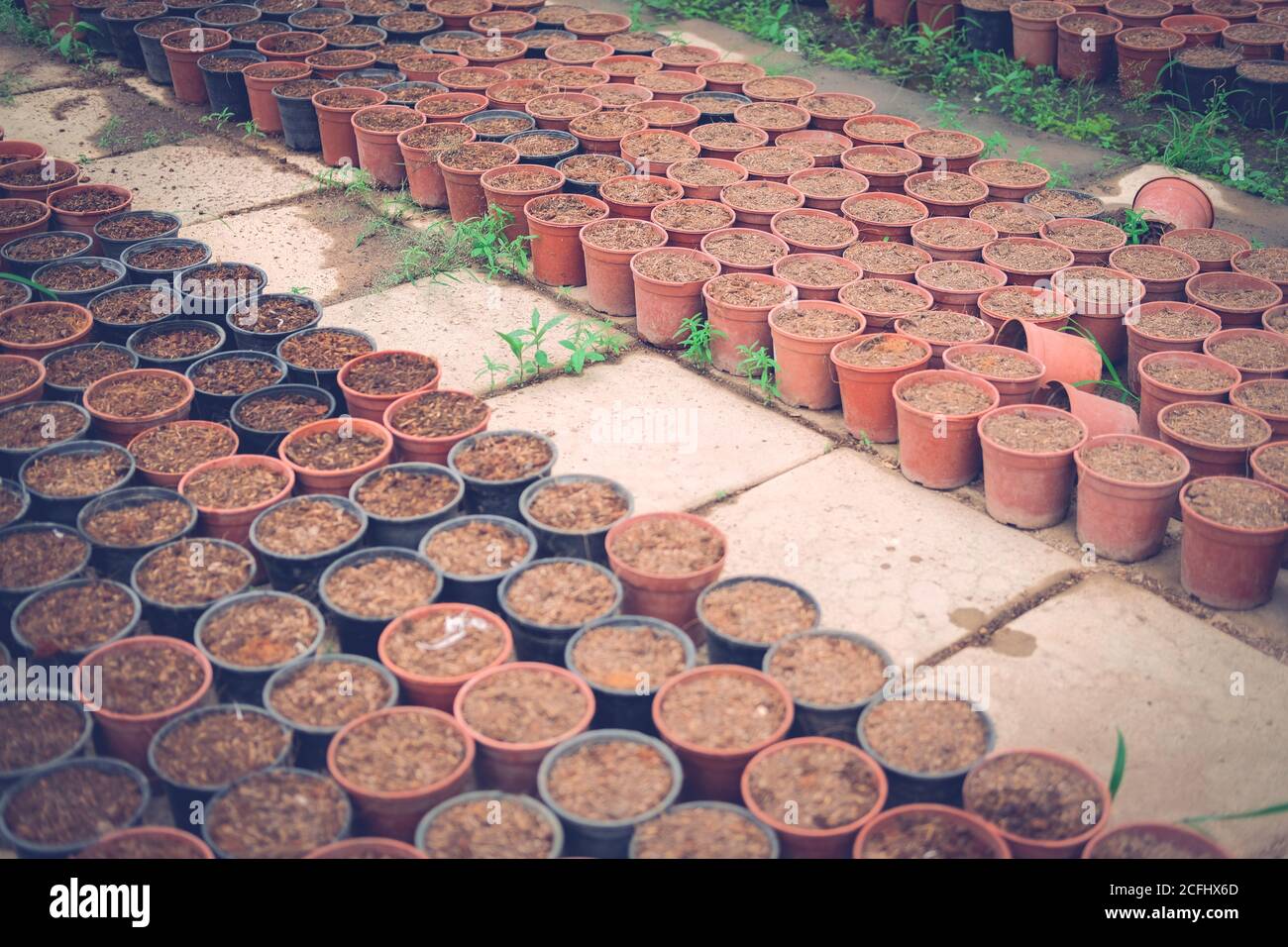 soil & fertilizer in planting pot for growing transplanting plant ...