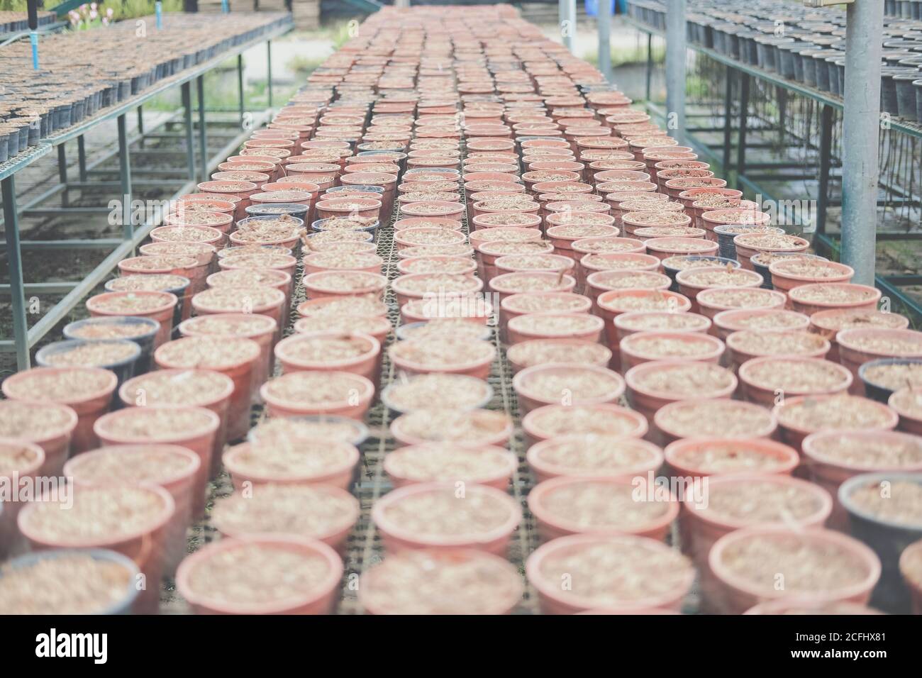 soil & fertilizer in planting pot for growing transplanting plant ...