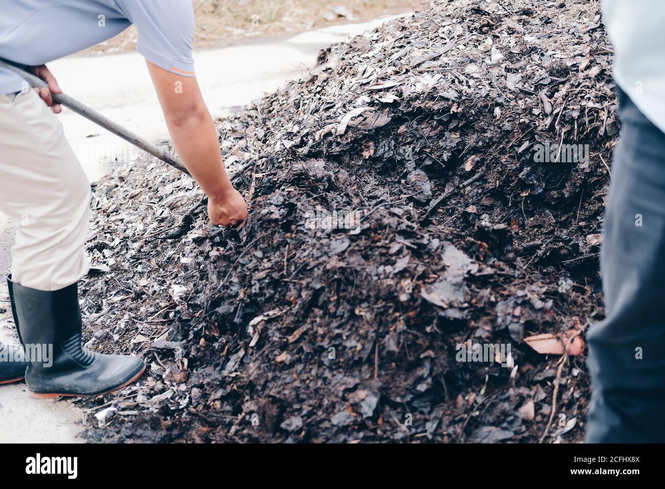 organic compost heap. fertilizer production for soil cultivation in ...