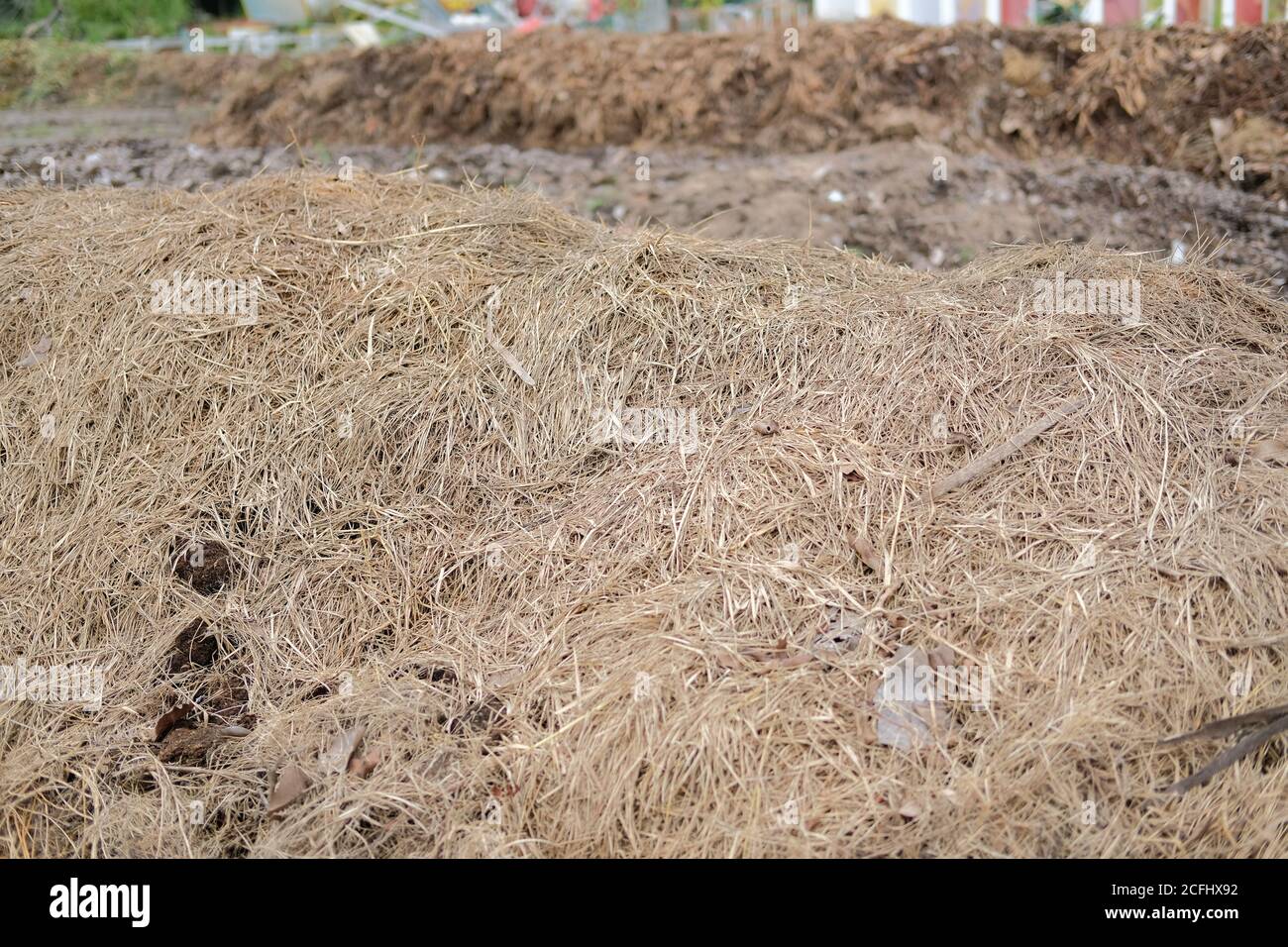 organic compost heap. fertilizer production for soil cultivation in ...