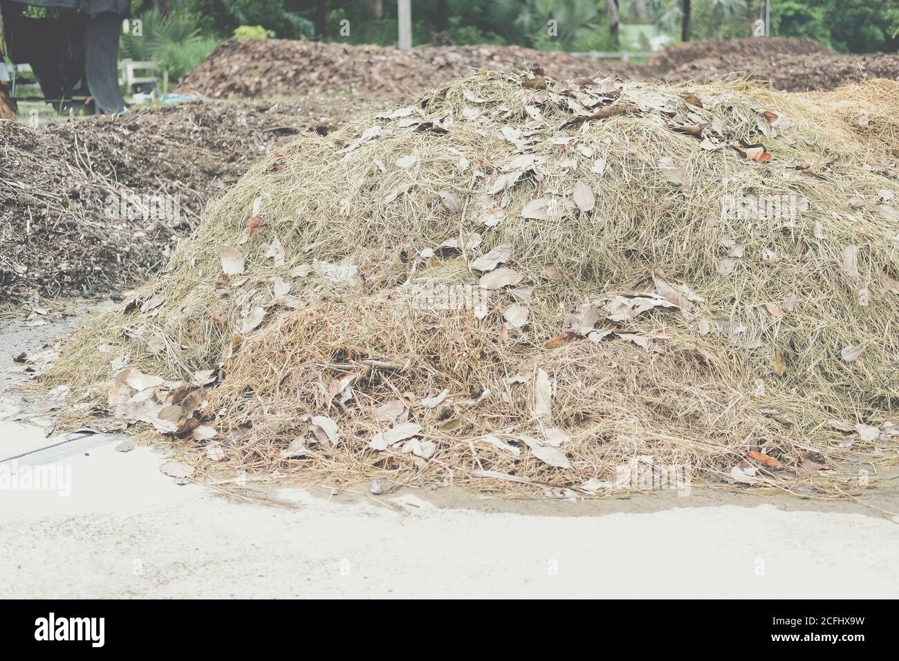 organic compost heap. fertilizer production for soil cultivation in ...