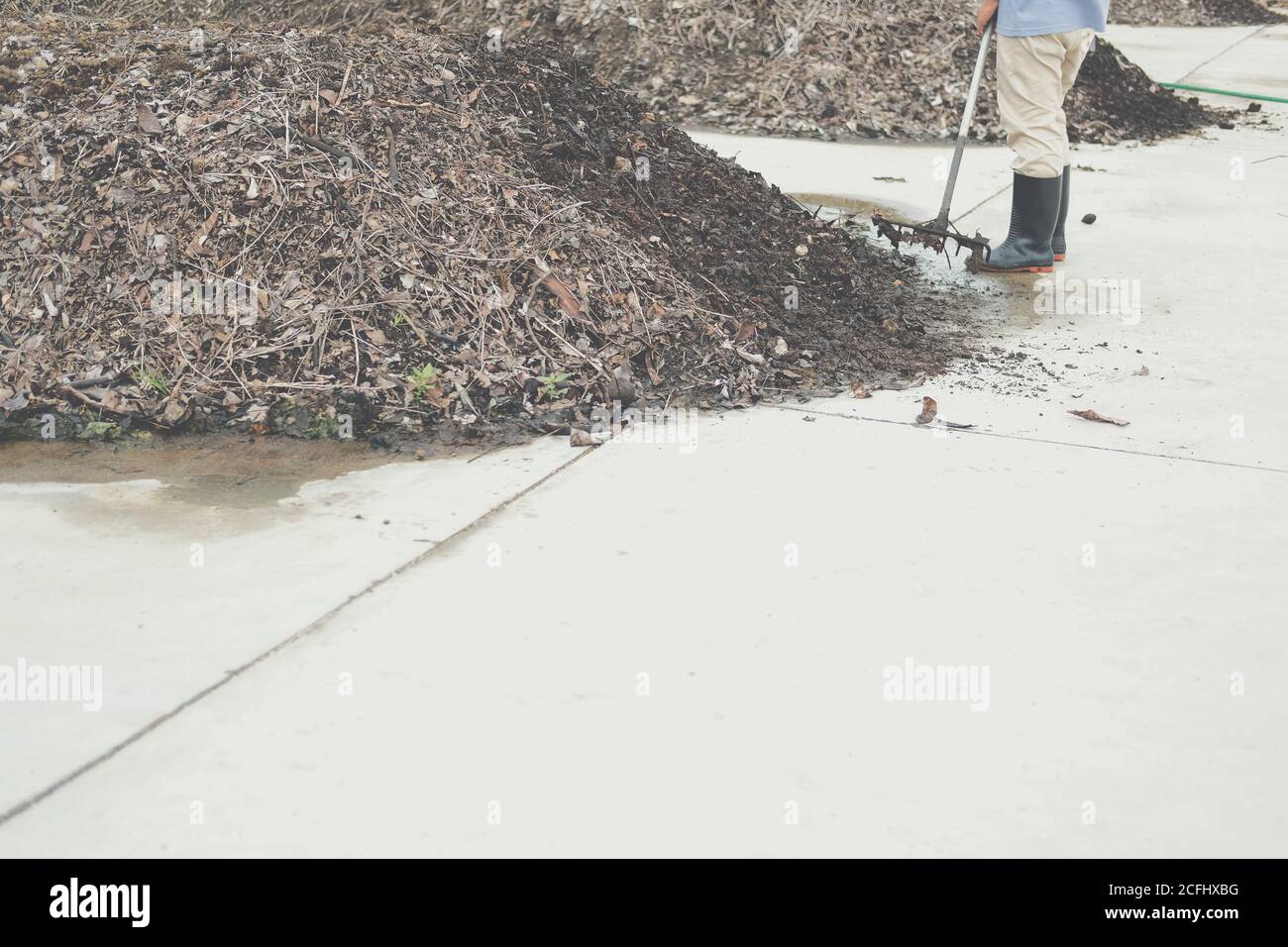 organic compost heap. fertilizer production for soil cultivation in ...