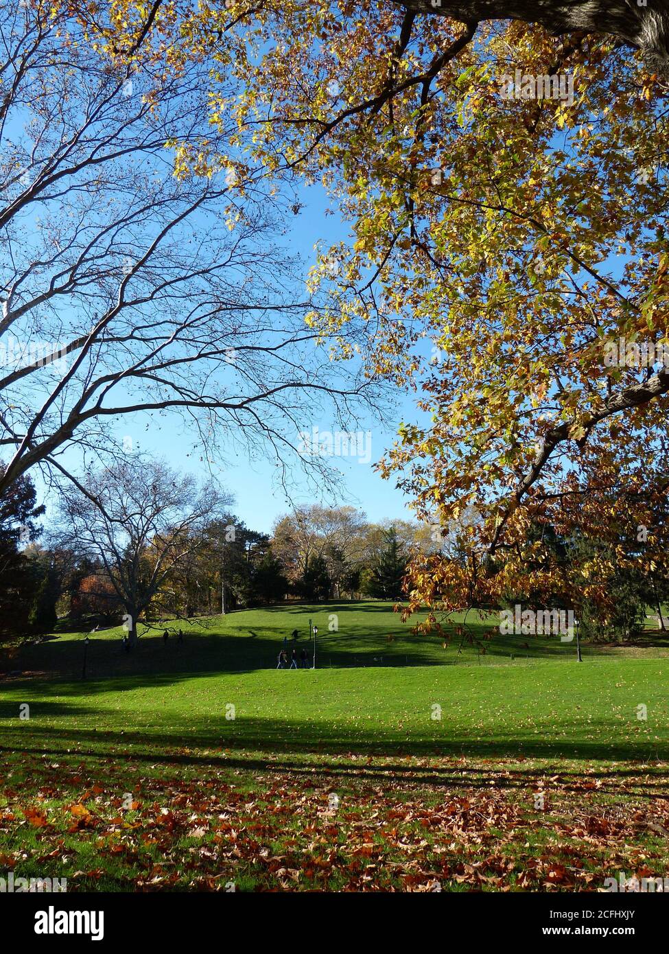 Idyllic central park hi-res stock photography and images - Alamy
