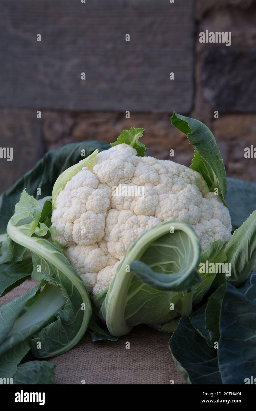 Fresh whole cauliflower Stock Photo - Alamy