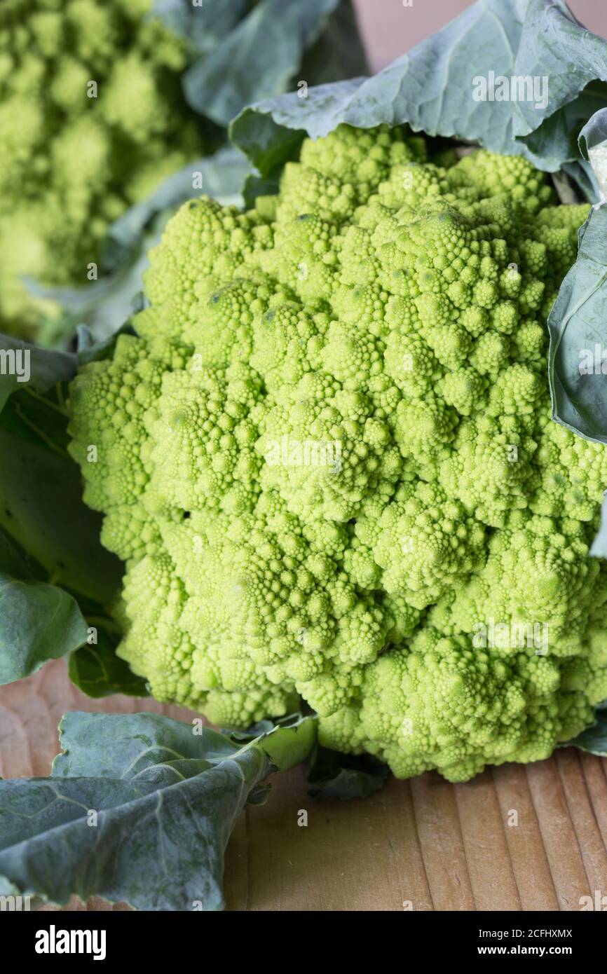 Brassica romanesco hi-res stock photography and images - Alamy