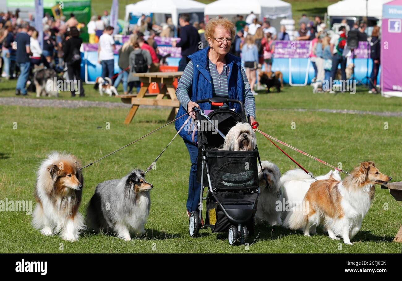 Burley, UK. 5th September 2020. The Dogstival festival for dogs and dog ...