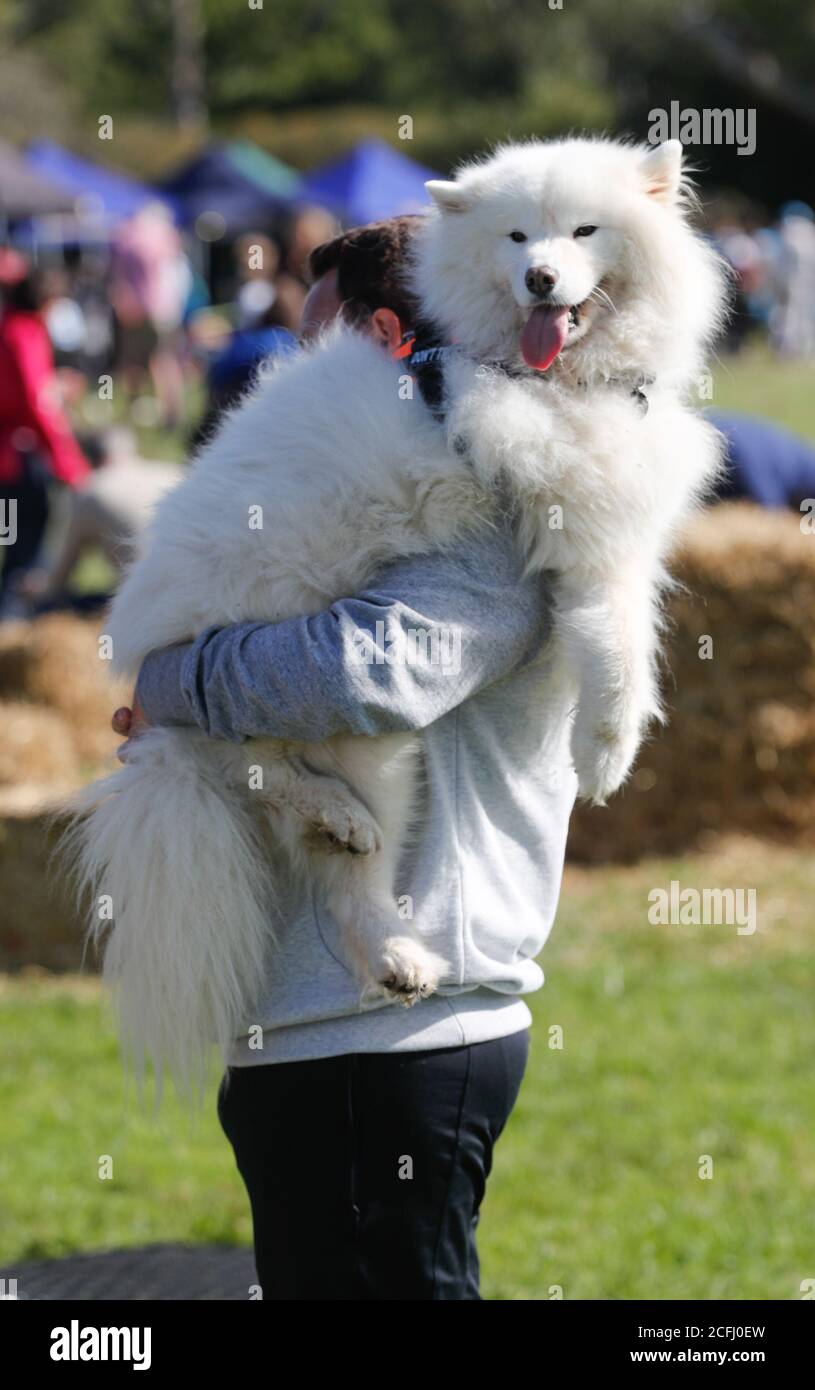 Adam burley hi-res stock photography and images - Alamy