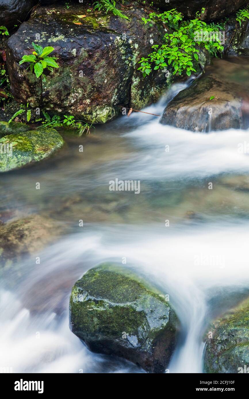 The stone under the waterfall, close-up waterfall as background Stock ...