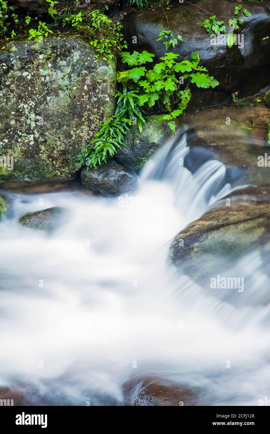 The stone under the waterfall, close-up waterfall as background Stock ...