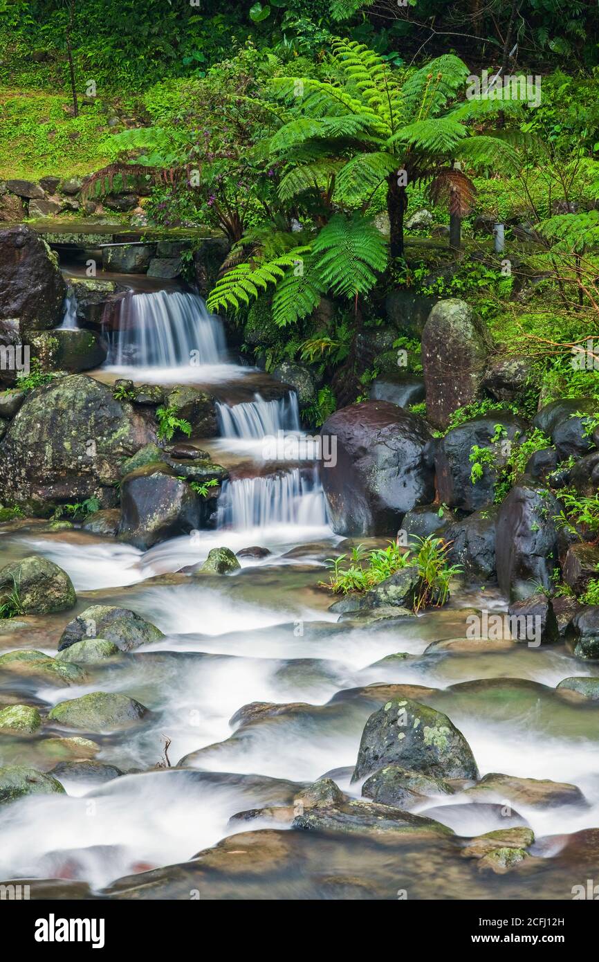 The stone under the waterfall, close-up waterfall as background Stock ...